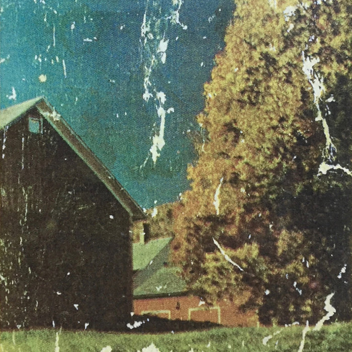 Spring Creeper | Shep and Me