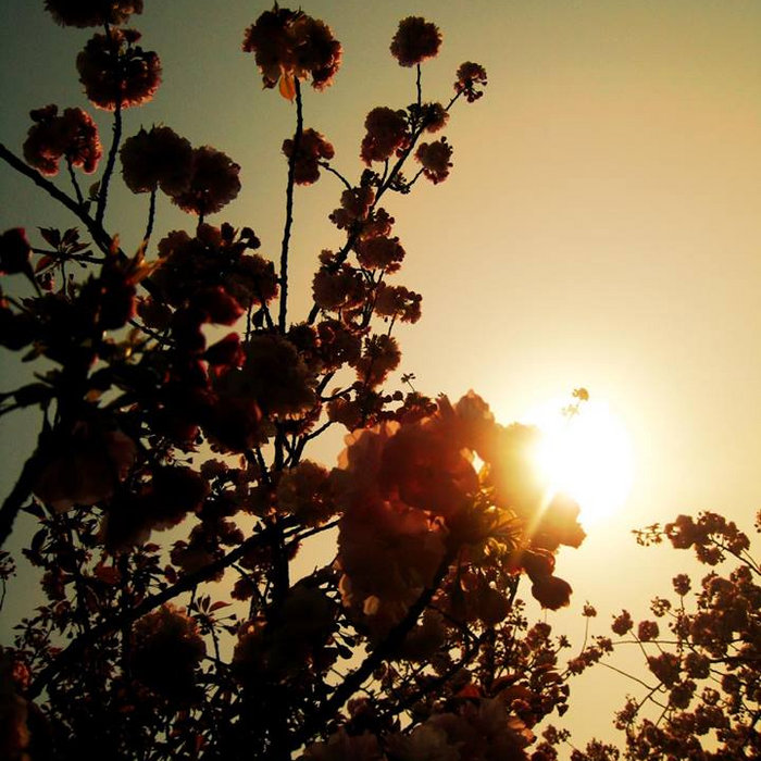 Copper Sunset | Shuhei Ozaki | shuhei ozaki