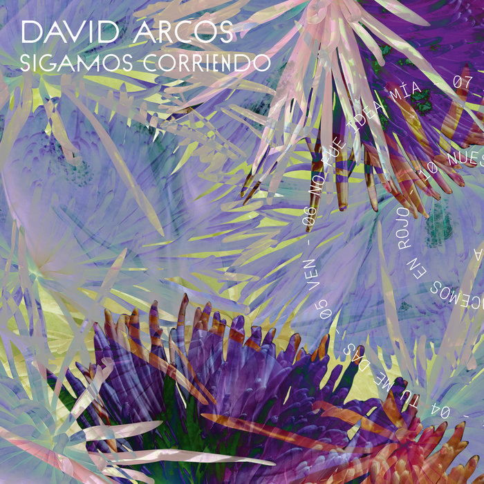 DAVID ARCOS - SIGAMOS CORRIENDO | David Arcos | Seayou Records