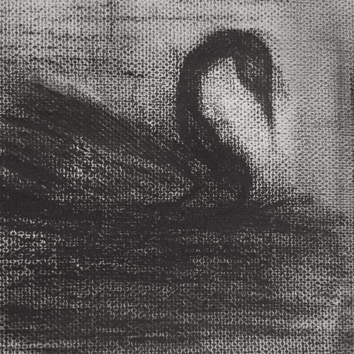 in this water of stained solace | Nicholas Parente