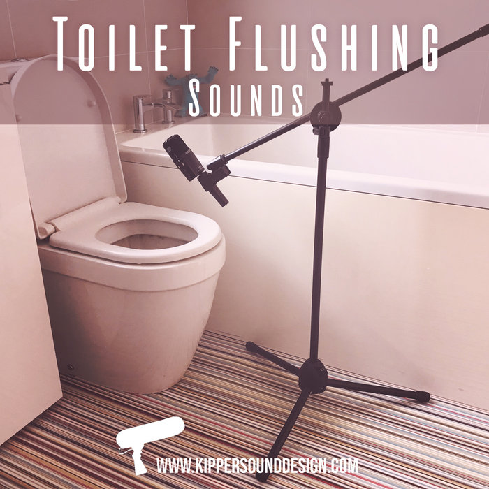 Toilet Flush Sounds - Multiple Mic Positions (KSD_FY03) | Sound Effects ...