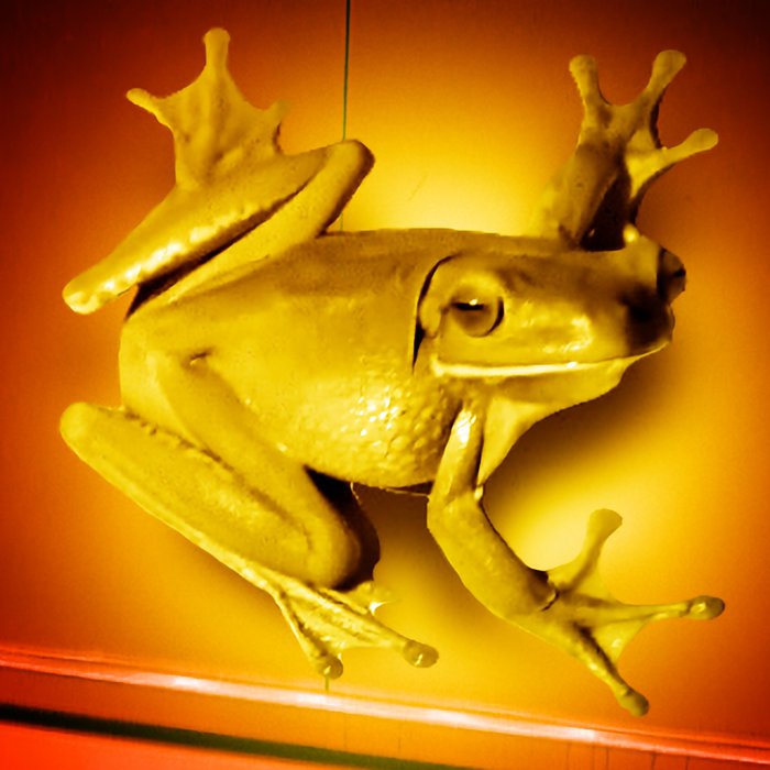 Frog Tale #1 | ANATEMAH