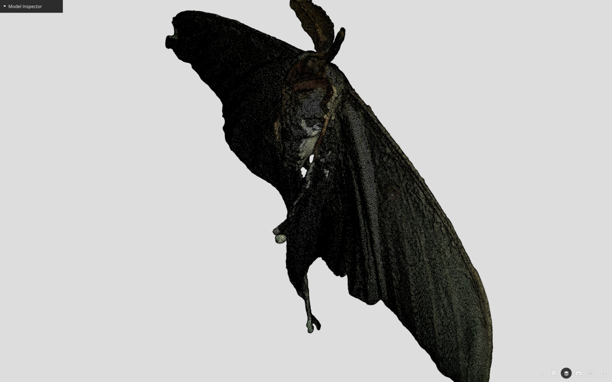 in progress 2024 | sednoid