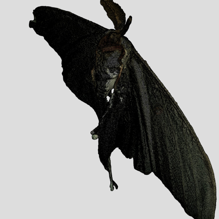 in progress 2024 | sednoid