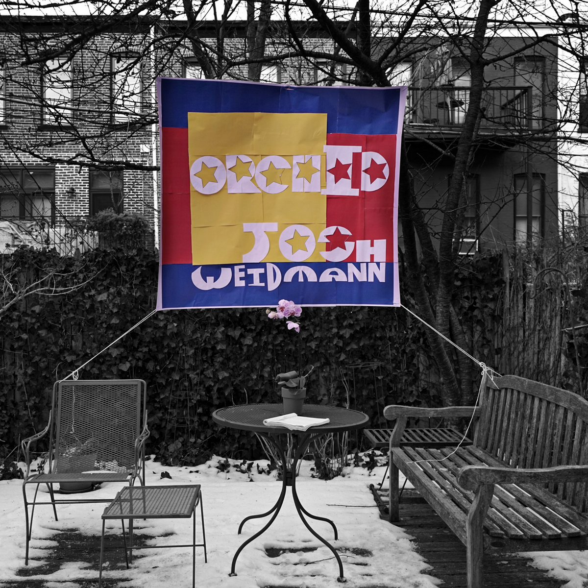 Orchid | Josh Weidmann