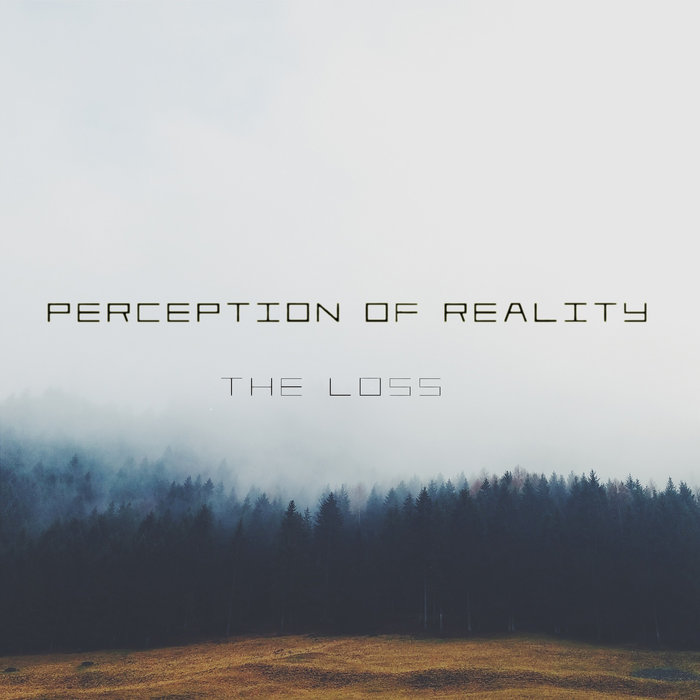 The Loss | Perception Of Reality