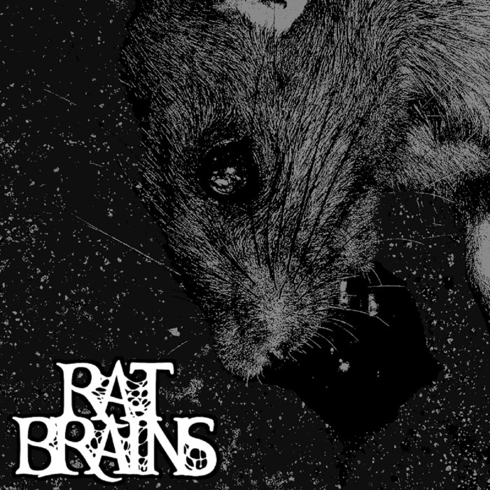 RAT BRAINS | RATBRAINS