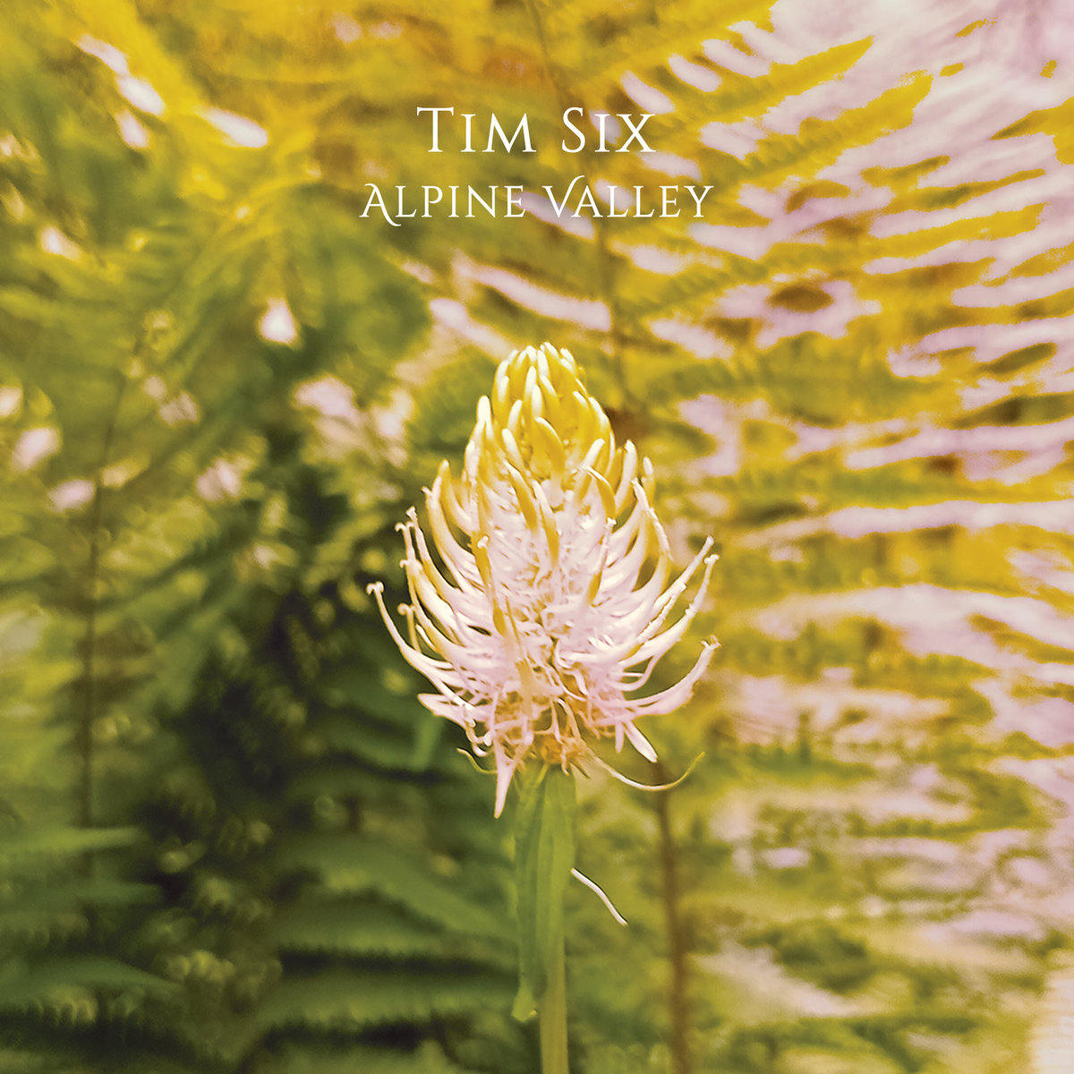 Alpine Valley | Tim Six | Tim Six • Creation VI