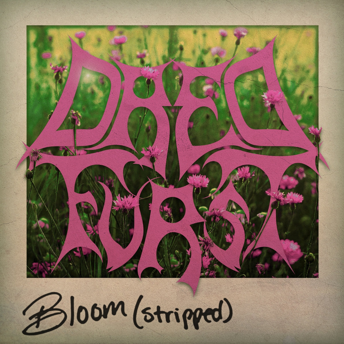 Bloom (Stripped) | Dred Furst