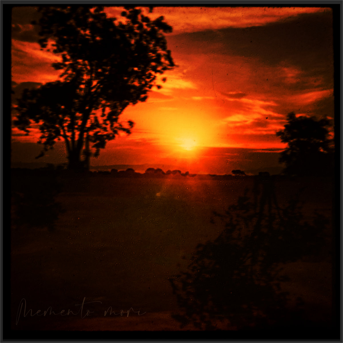 memento mori | Orange Romeda