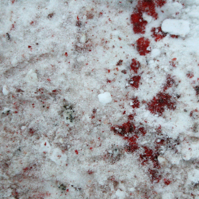 Racially Inclusive Christmas | Rob Fusco