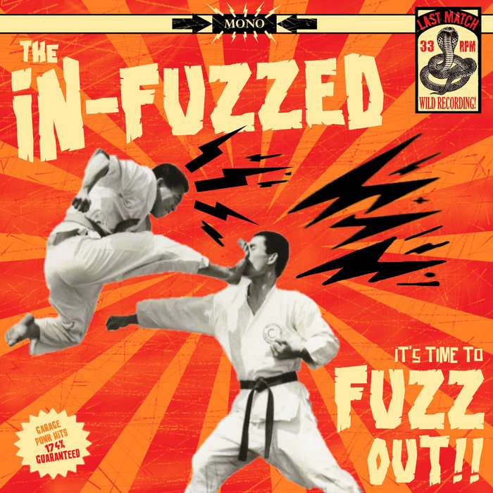 FUZZ OUT! | The In-Fuzzed
