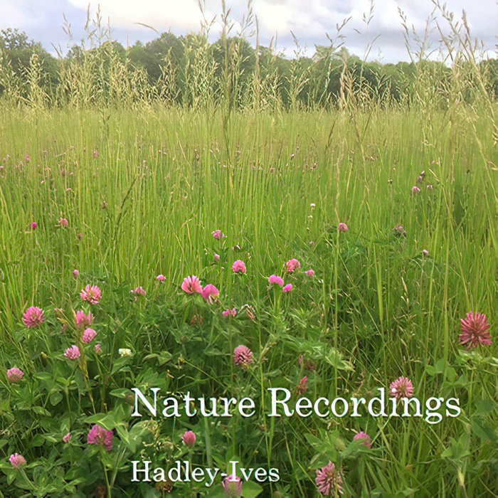 Nature Recordings | Eric Hadley-Ives