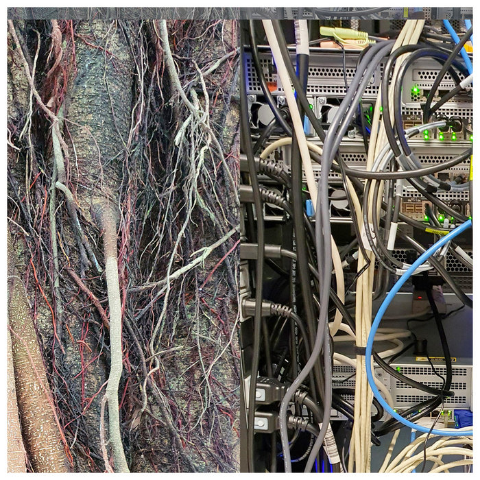 Rhythms From The Electronic Noosphere | John Wild