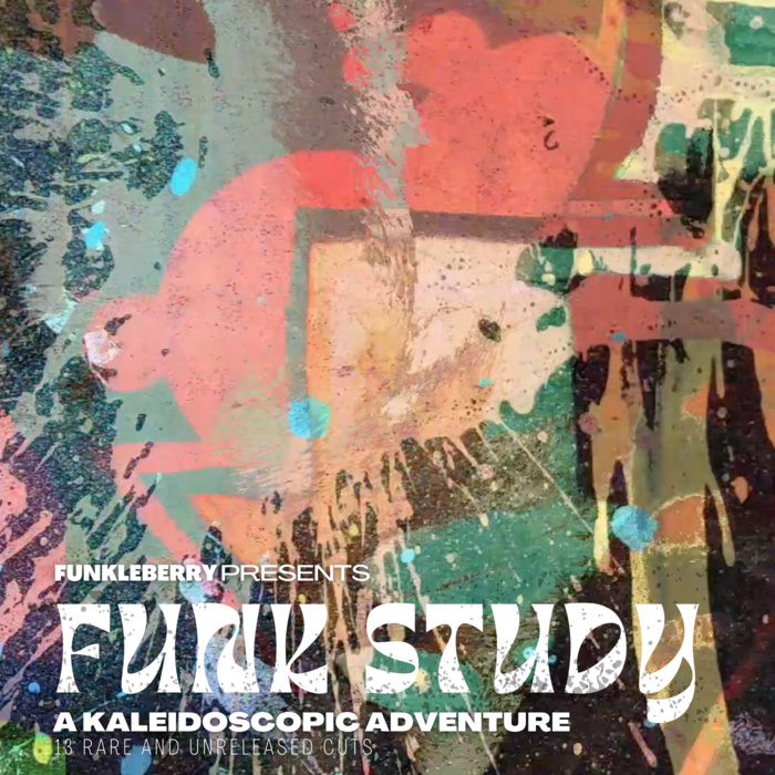 Funkleberry - Funk Study: A Kaleidoscopic Adventure | Funkleberry ...