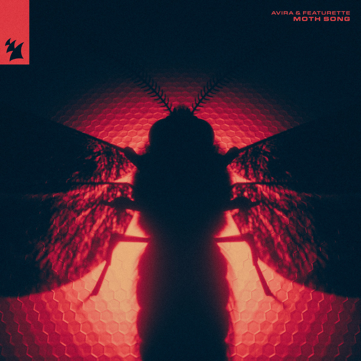 Moth Song (Extended Mix) | AVIRA & Featurette | AVIRA