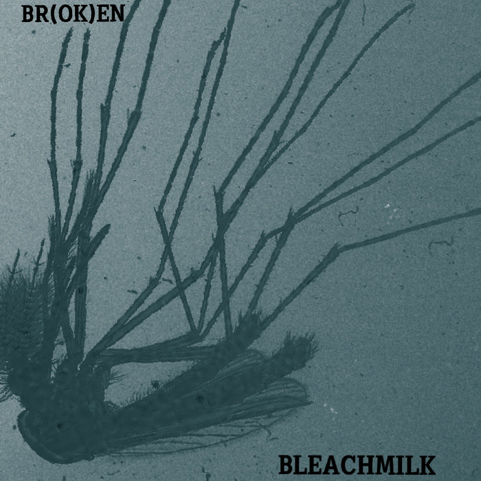split w/ br(ok)en | BLEACH MILK