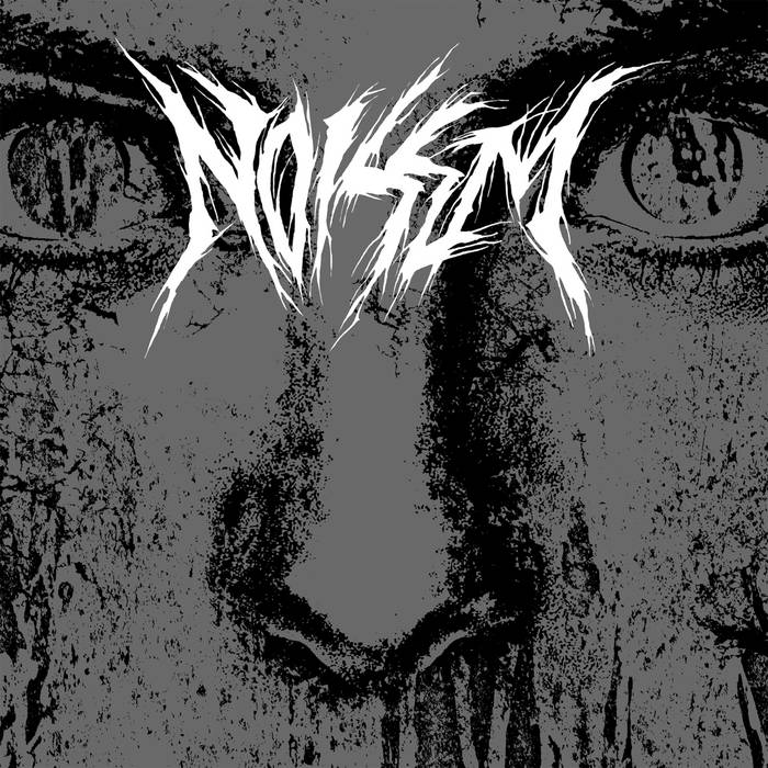 Logo Noisem