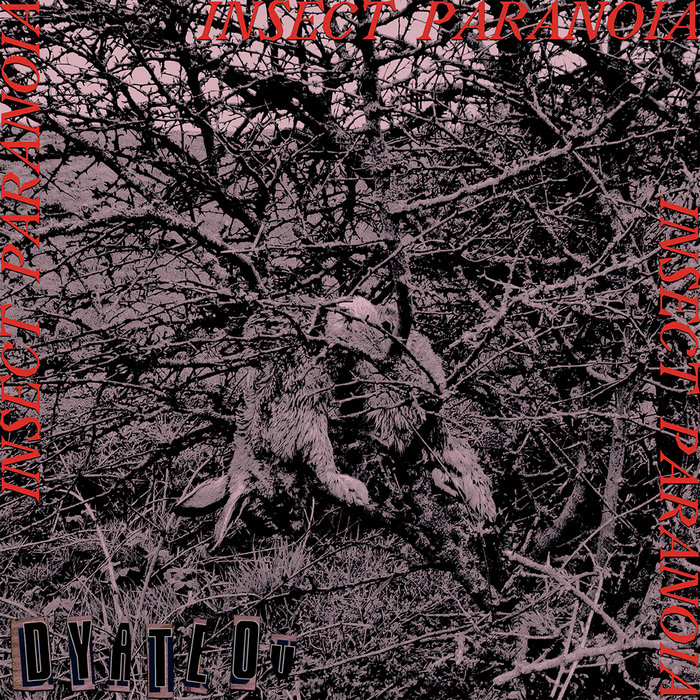 Insect Paranoia | Dyatlov | Spazz Records
