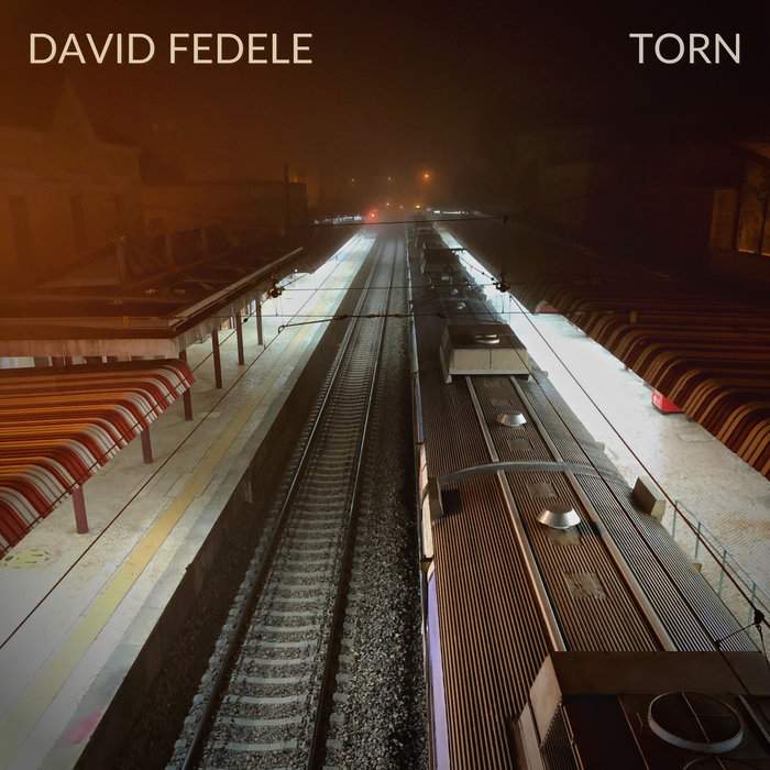 Torn | David Fedele
