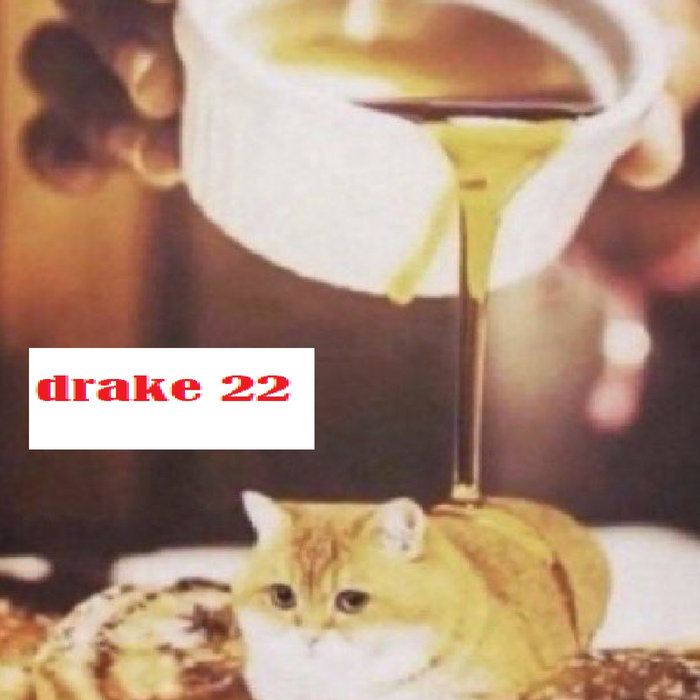 Flibbertygibberdyschwibbleflabbleslapperdapflap part 86.3 EP (Drake 22 ...