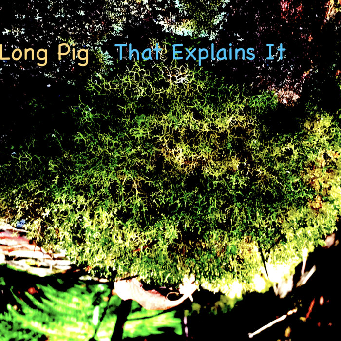 That Explains It | Long Pig