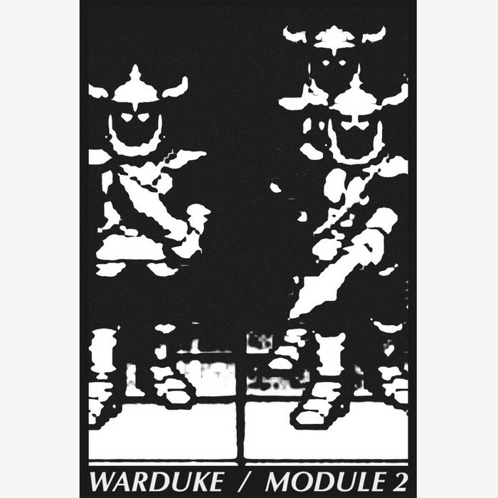 MODULE 2 | WARDUKE