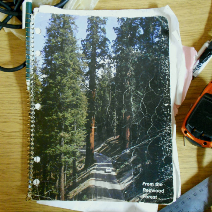 From The Redwood Forest | Sipul