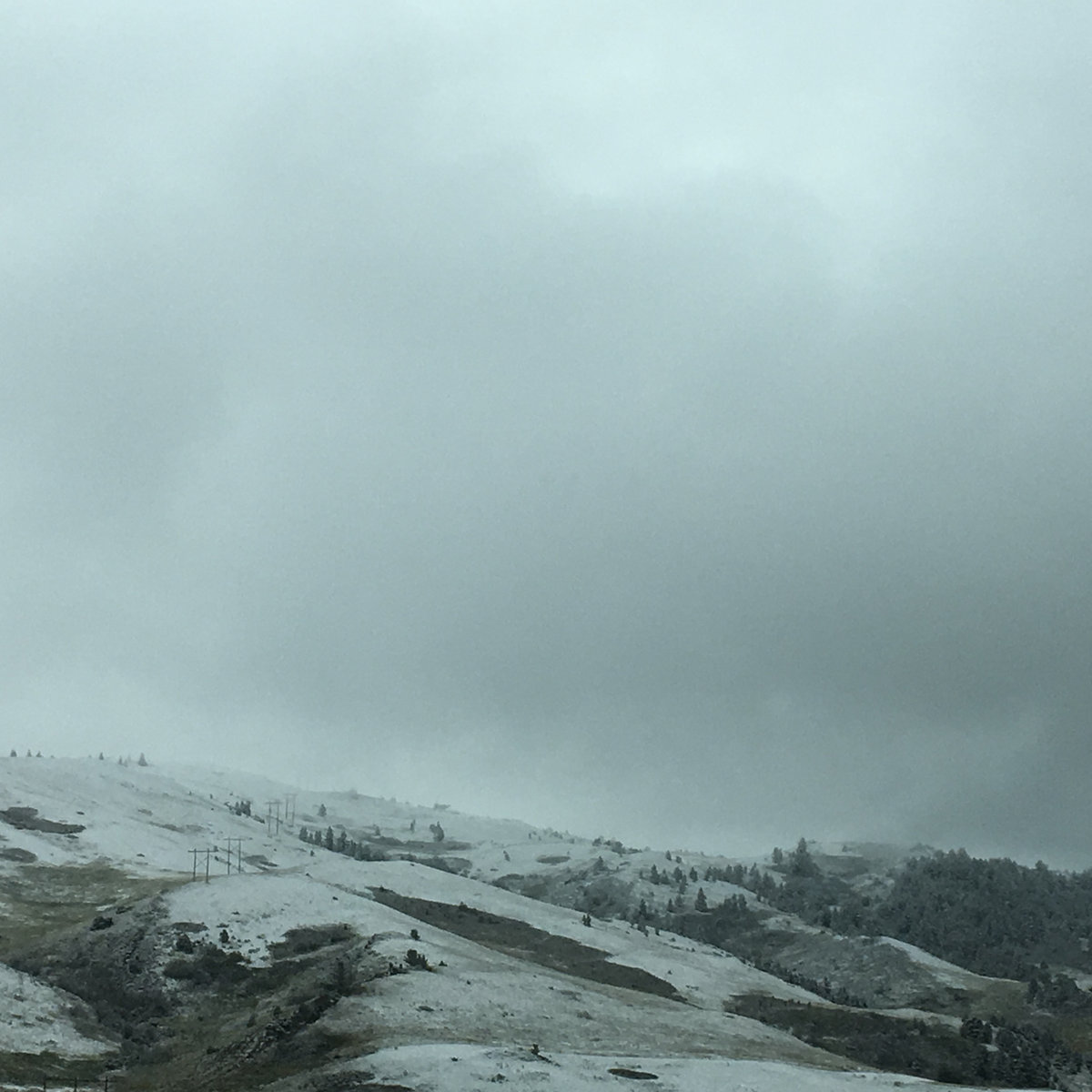 Abandon Hope | Matt Talbott