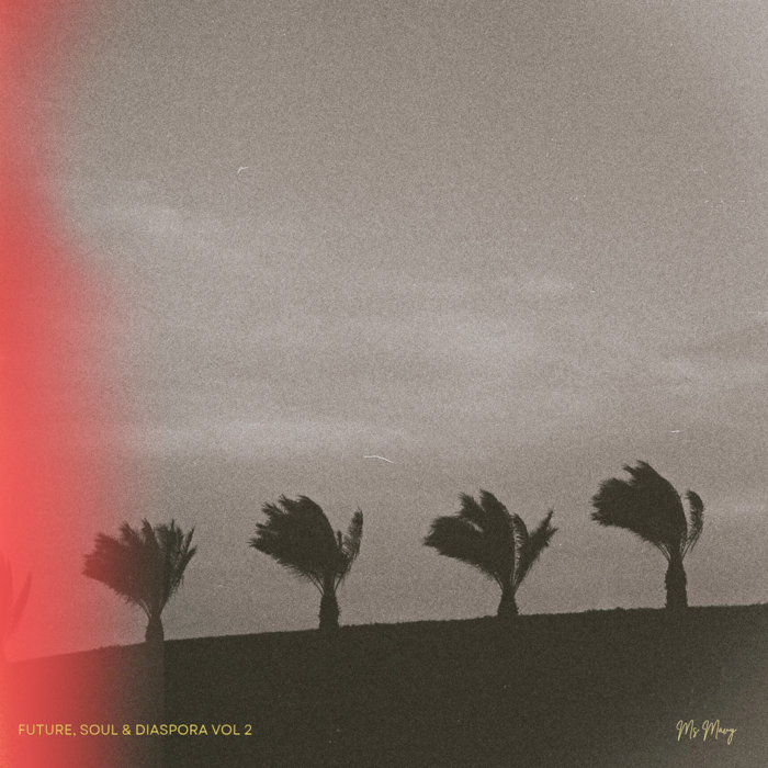 Future, Soul & Diaspora Vol.2 | Ms Mavy