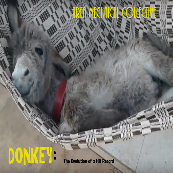 DONKEY: The Evolution of a Hit Record | Area Mechanical Collective