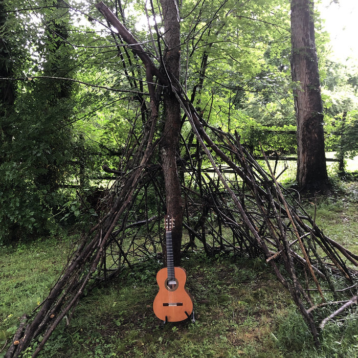 Fireside Book of Folk Songs Vol. 3 | Shane Parish