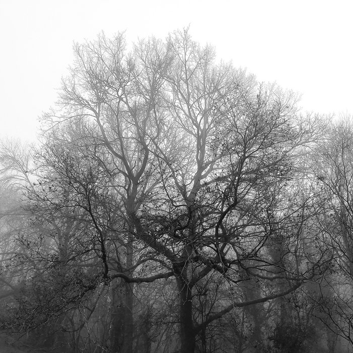 under the moon. as above. forsaken | Simon Hedges