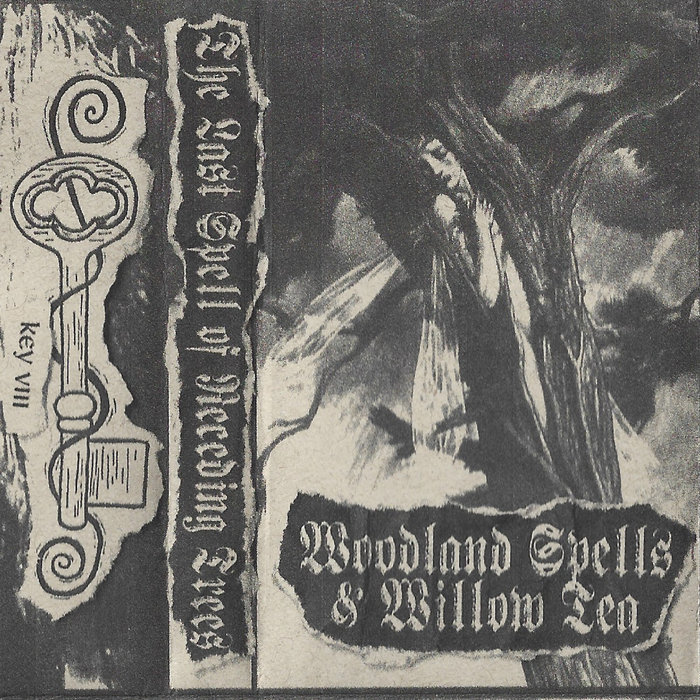 The Last Spell Of Receding Trees | Willow Tea & Woodland Spells ...