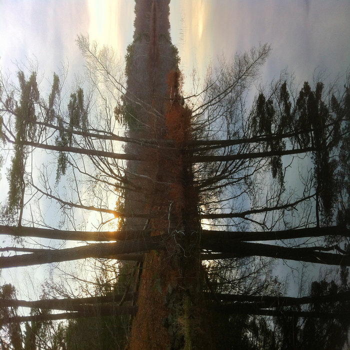 Dragonleaf Tea Party | Underwater Airport