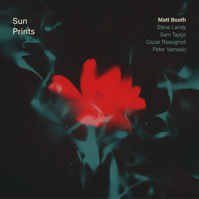 Sun Prints | Matt Booth