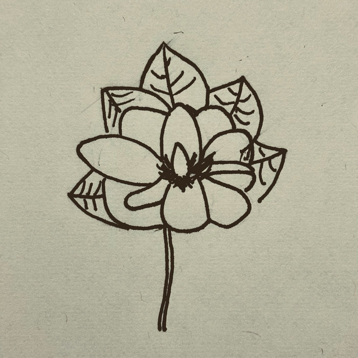 Magnolias | Charlie Saunders