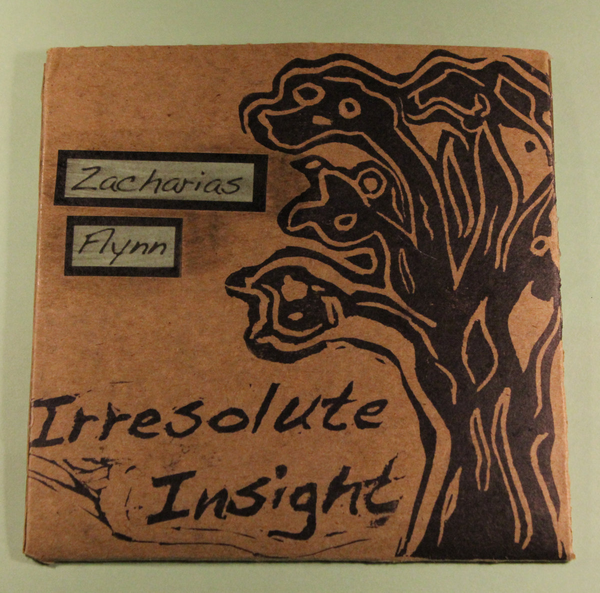 Irresolute Insight | Zachary Donovan Flynn