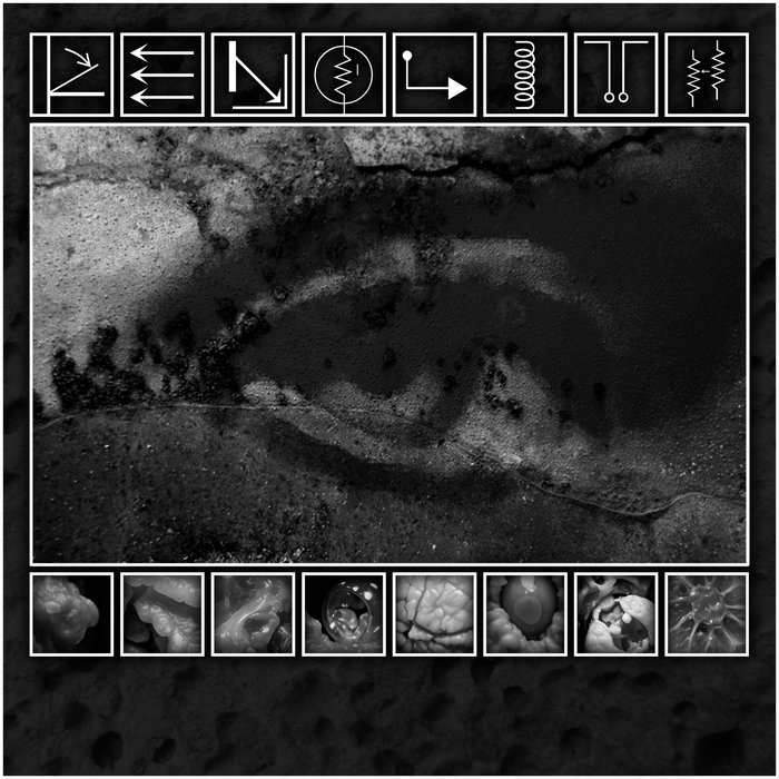 ɱ∆ⁿĨƒ૯⒌Ţȱ{ⵓ℉}ᏉᵉȋȽⵟɗ¿ᵖȟåṧ≢ | Kenolith | Void Sigil