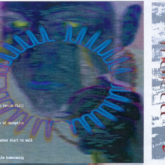 morta (day 9 as a book) | internal empty | Lackthrow