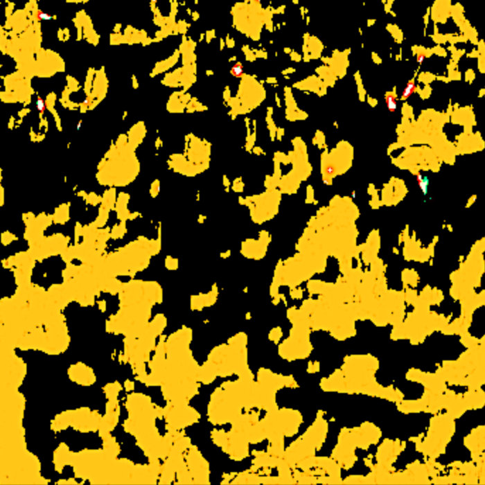 The Loops | DJ Freakuency | Scumklub