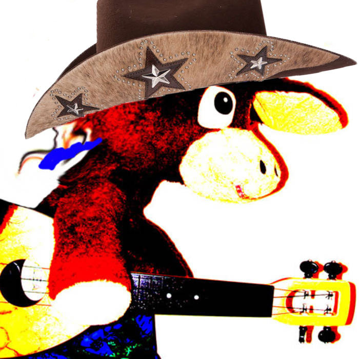 Rick Novak Music, country | Rick Novak | The Bucky Burro Band