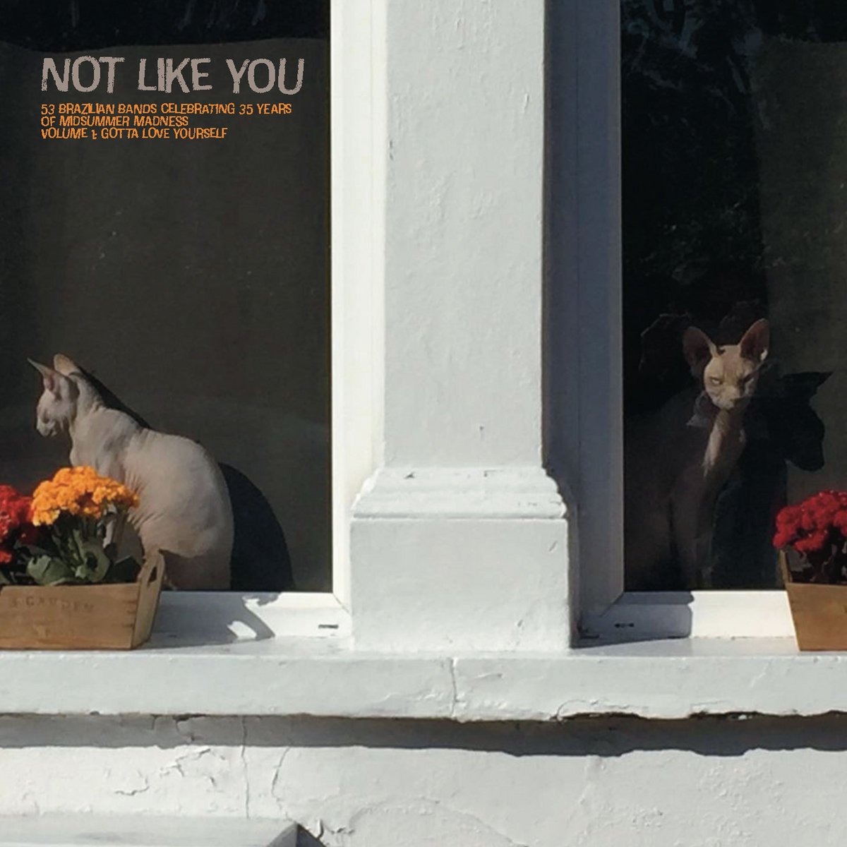 Not Like You (Volume 1: Gotta Love Yourself: midsummer madness ...