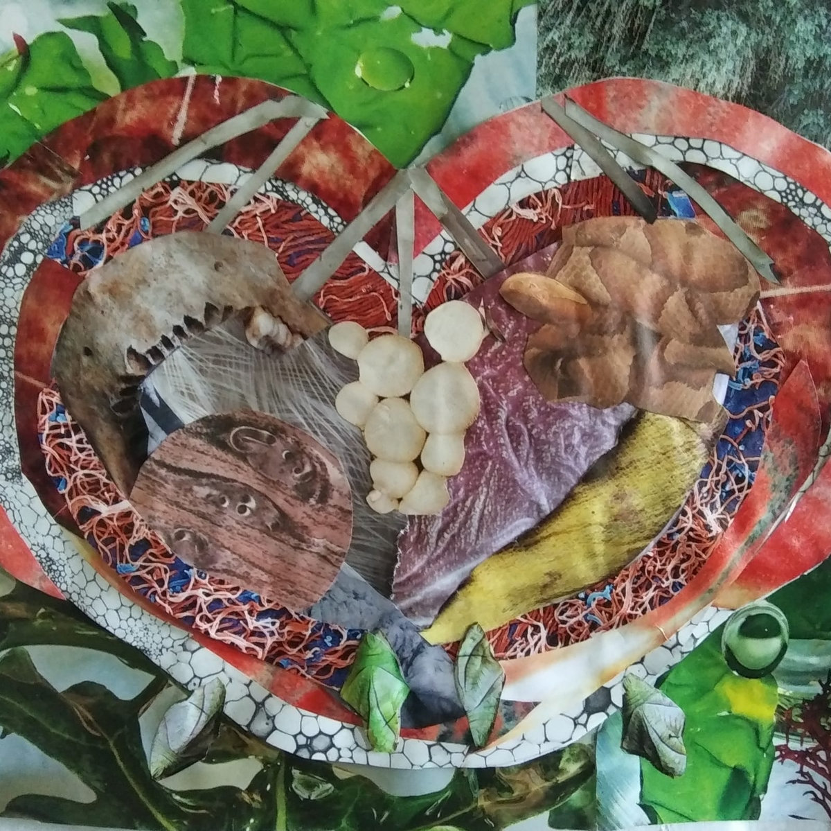 Diaphragm | Leslie Keffer