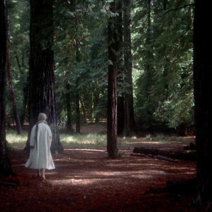 Vertigo: The Forest | The Lord