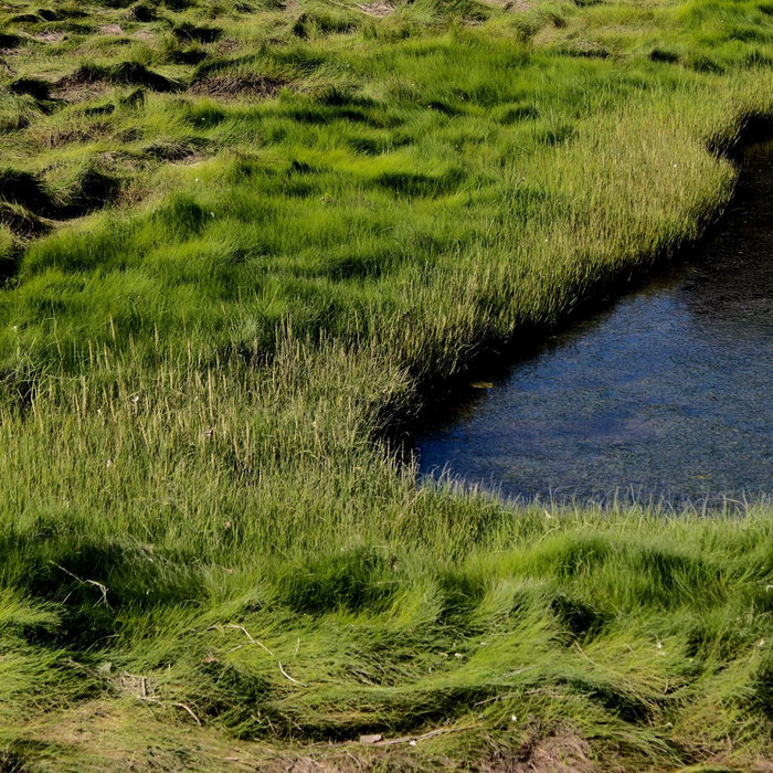 Silences (piano improvisations) | Maxime Fillion