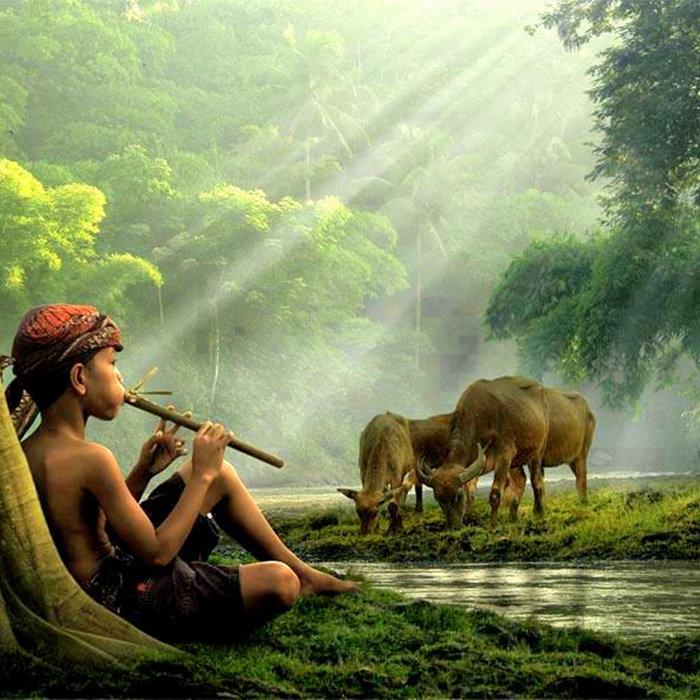 Kecapi Suling Sunda (Relaxing Music) | Suasana Pedesaan