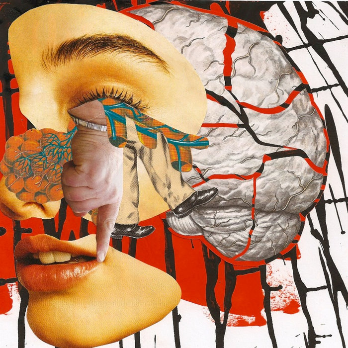 Human | Diploid