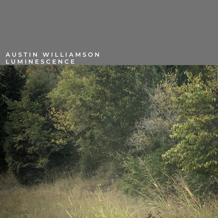 Luminescence | Austin Williamson