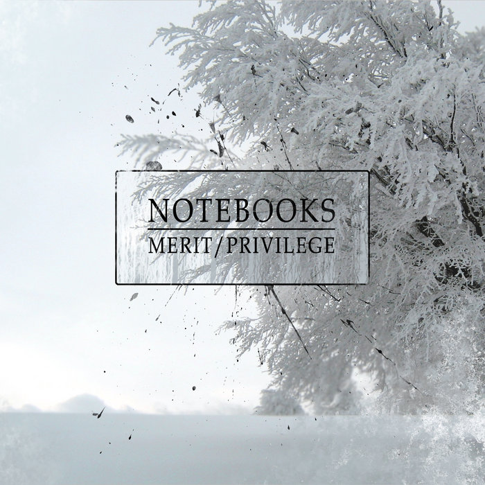 MERIT/PRIVILEGE | Notebooks